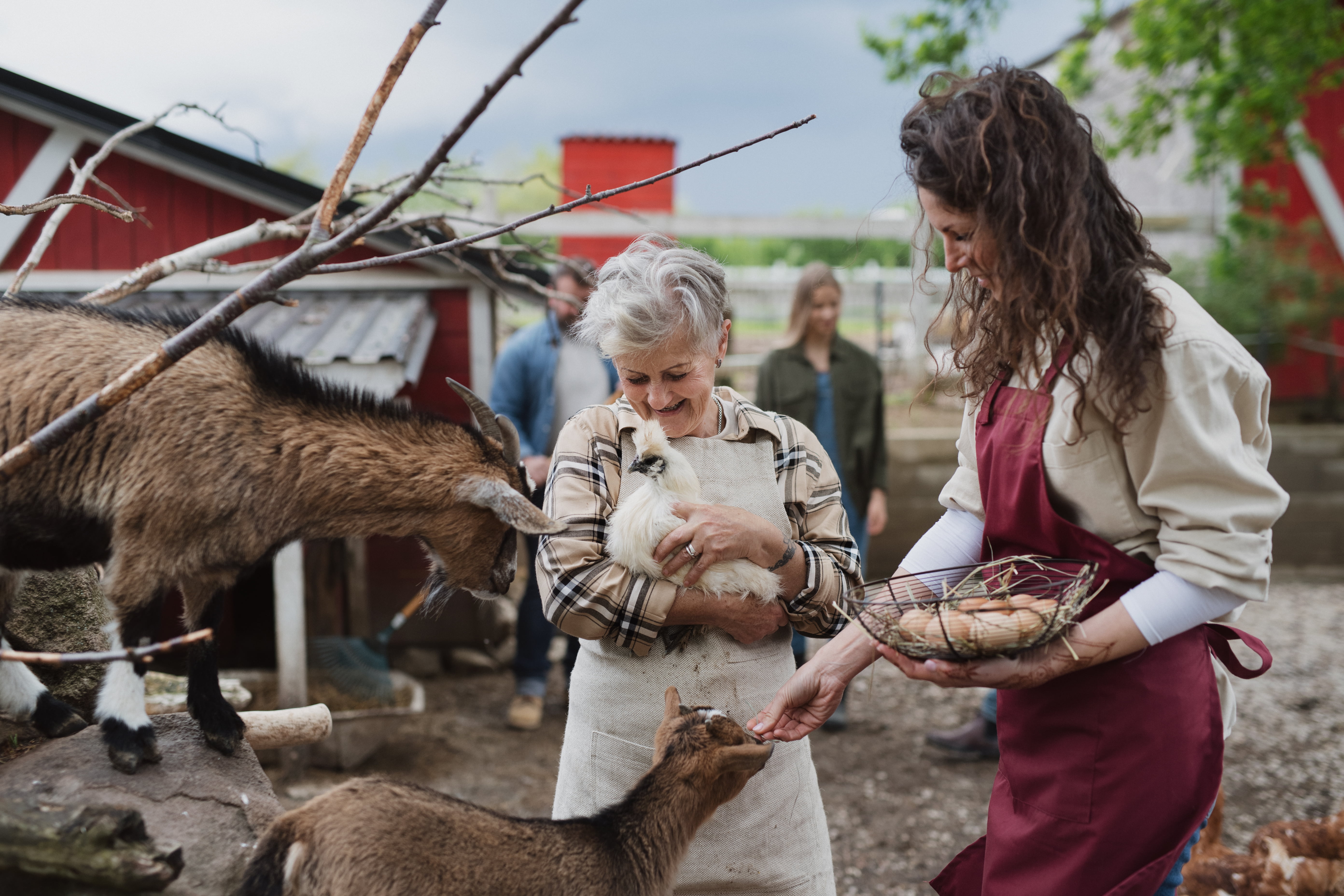 Gift hold-over relief briefing note | Canada Life UK