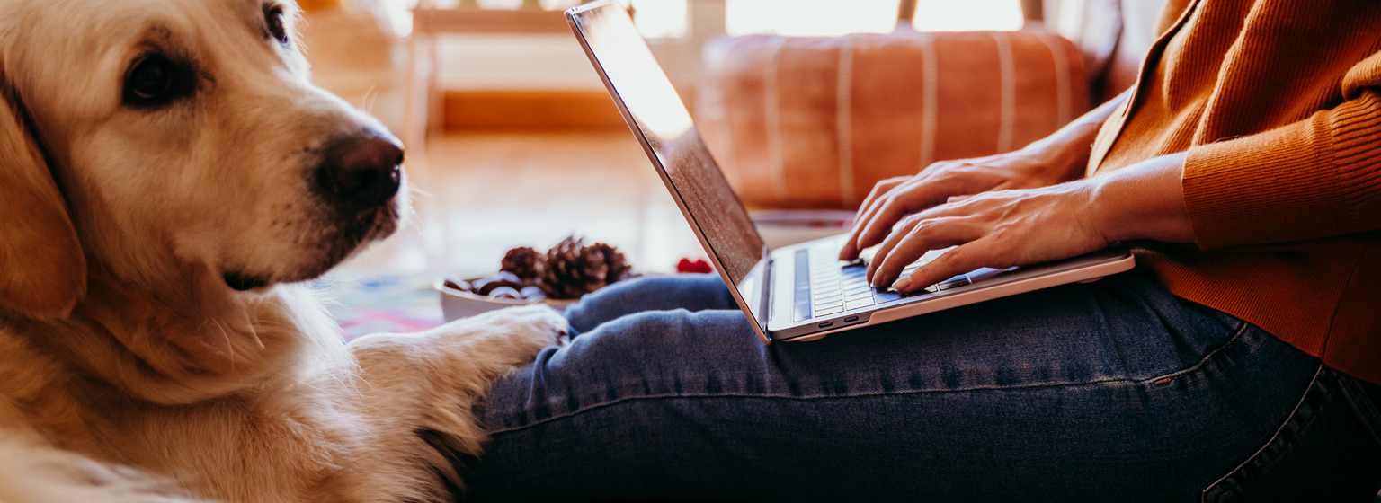 Customer support for MyAccess | Canada Life UK