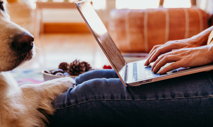 Customer support for MyAccess | Canada Life UK